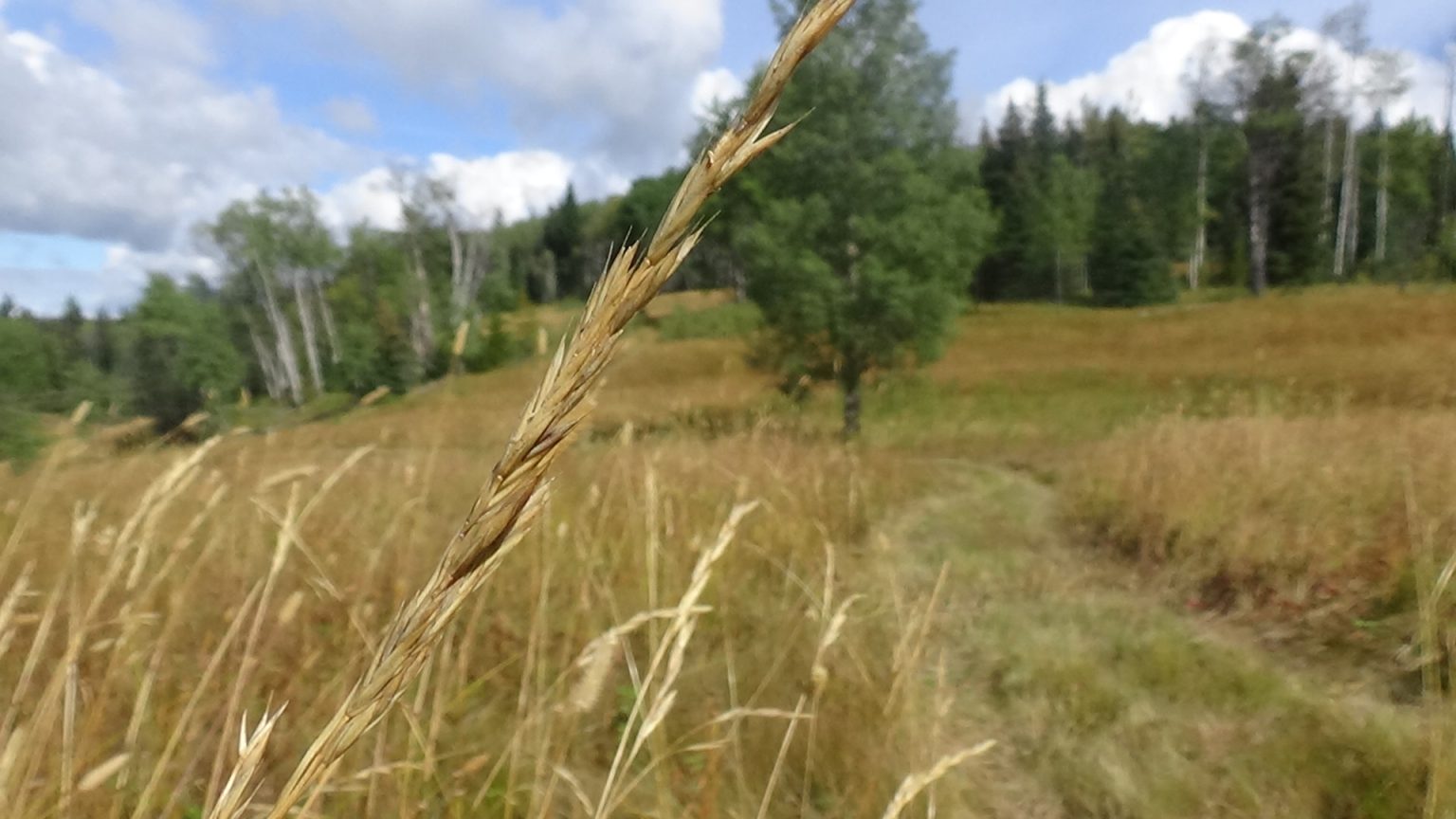 Contact & Directions - Laughing Raven Resort