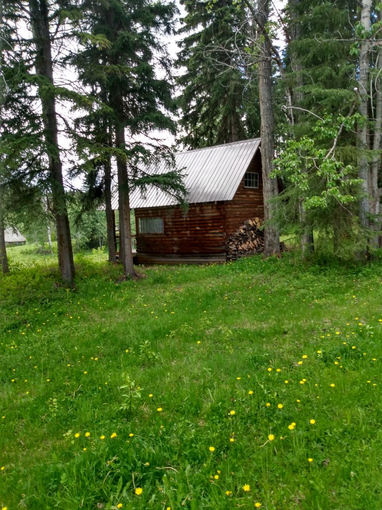 Cabins - Laughing Raven Resort