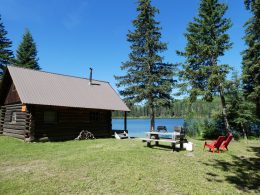 Welcome to Laughing Raven Resort - Laughing Raven Resort